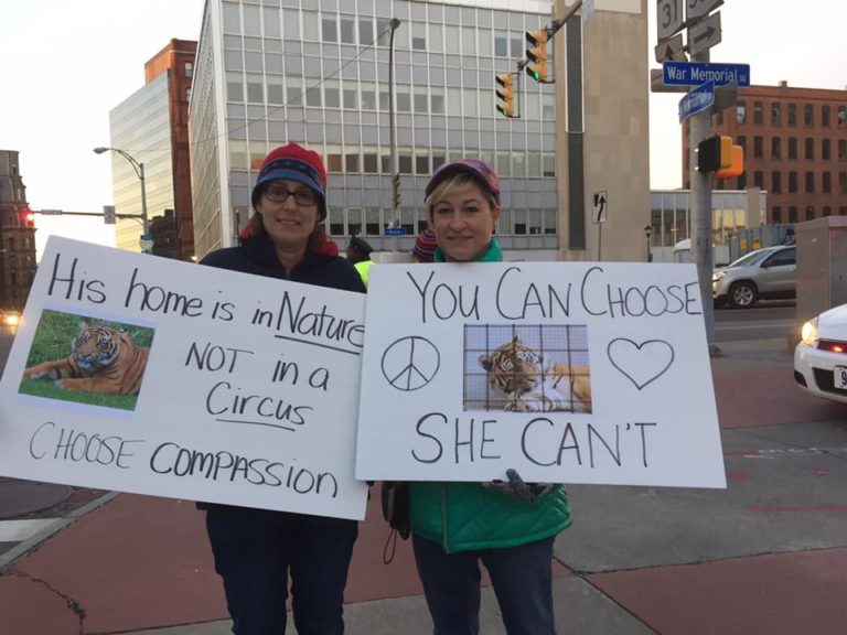 2016-10-28-circus-protest-3 – Animal Rights Rochester
