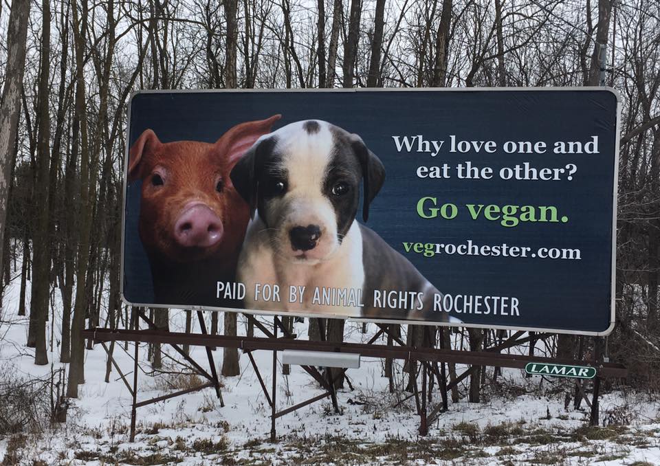 Vegan Billboard is Up – Animal Rights Rochester