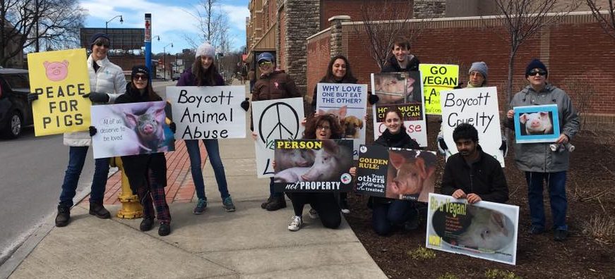 Recap: Stand up for Pigs and Potluck for Albert – Animal Rights Rochester