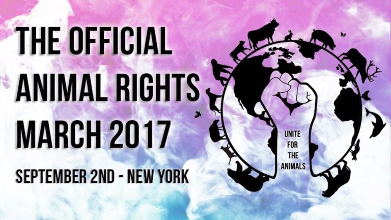 Official Animal Rights March 9 2 Animal Rights Rochester official-animal-rights-march-9-2-animal-rights-rochester